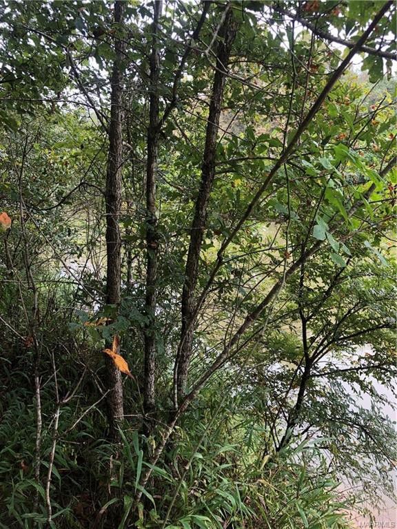 Listing - 115 Twin Rivers Preserve Lot Dr, Selma AL 36702