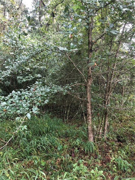 Listing - 115 Twin Rivers Preserve Lot Dr, Selma AL 36702